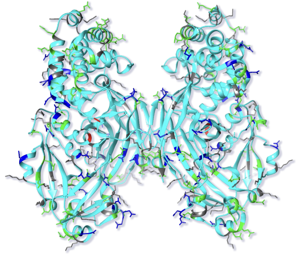 Technology - Inventprise